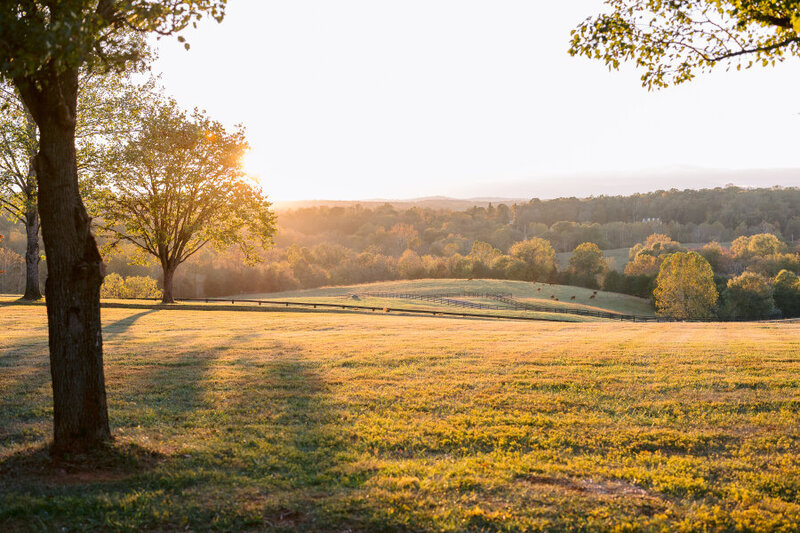 Highland Ridge Farm: A New Favorite Virginia Wedding Venue | Complete ...