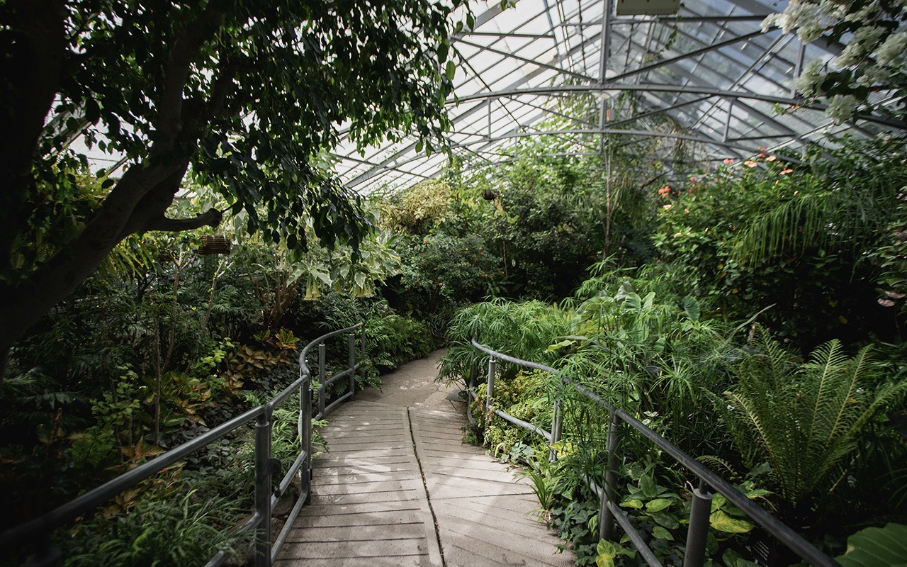 Toronto's Most Instagrammable Locations